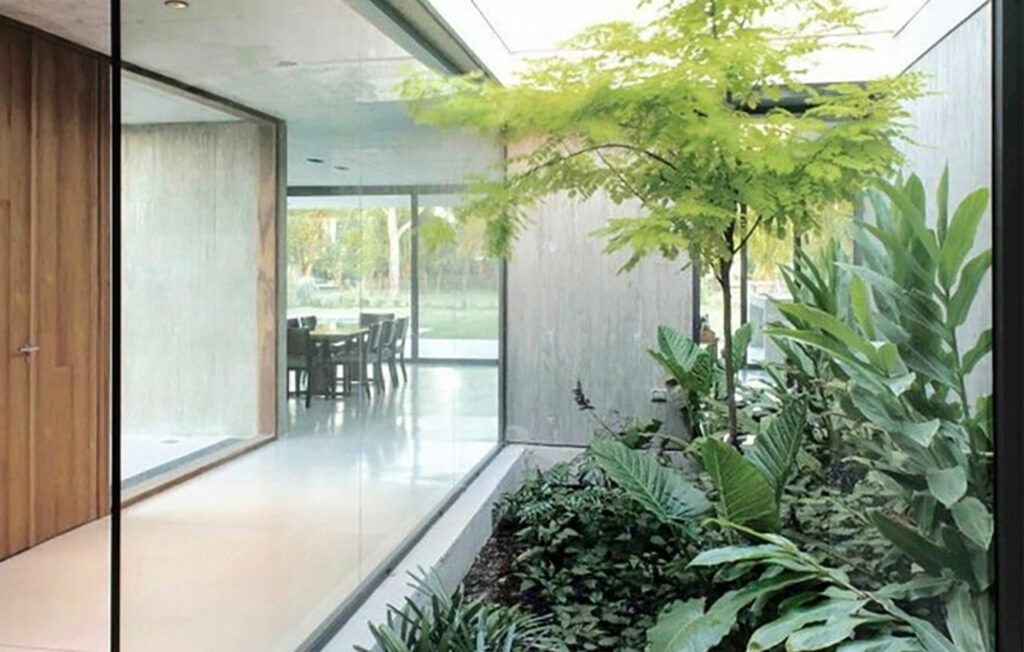 ¿Cómo tener un jardín interior en casa? - Rosella Magazine