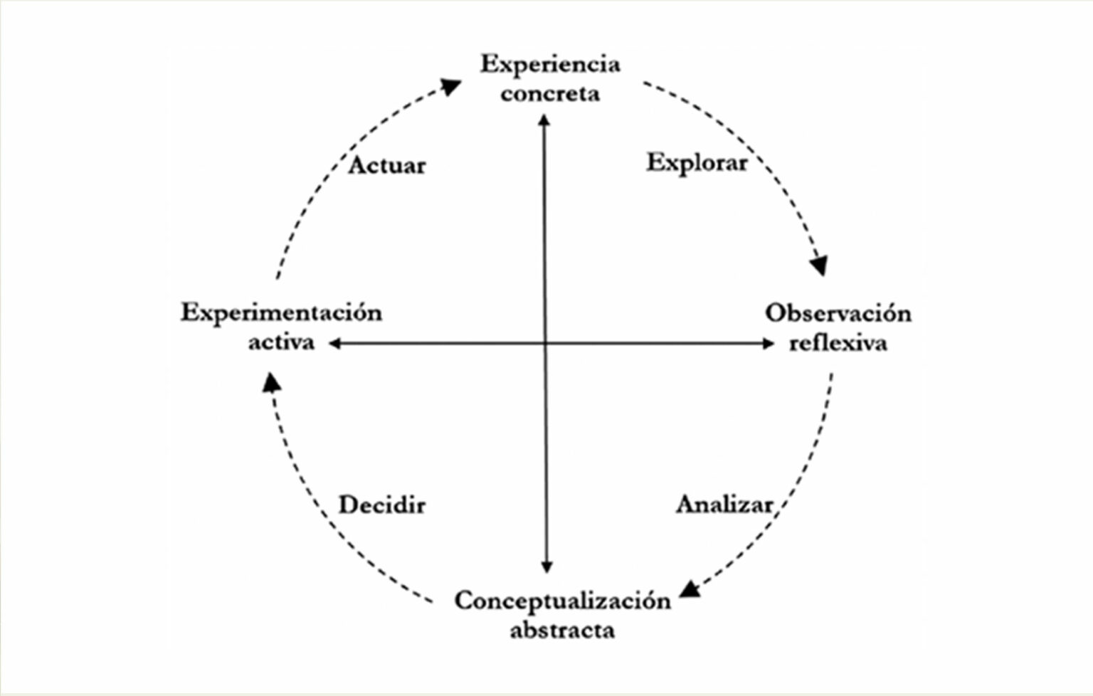 El Ciclo de Kolb - Rosella Magazine